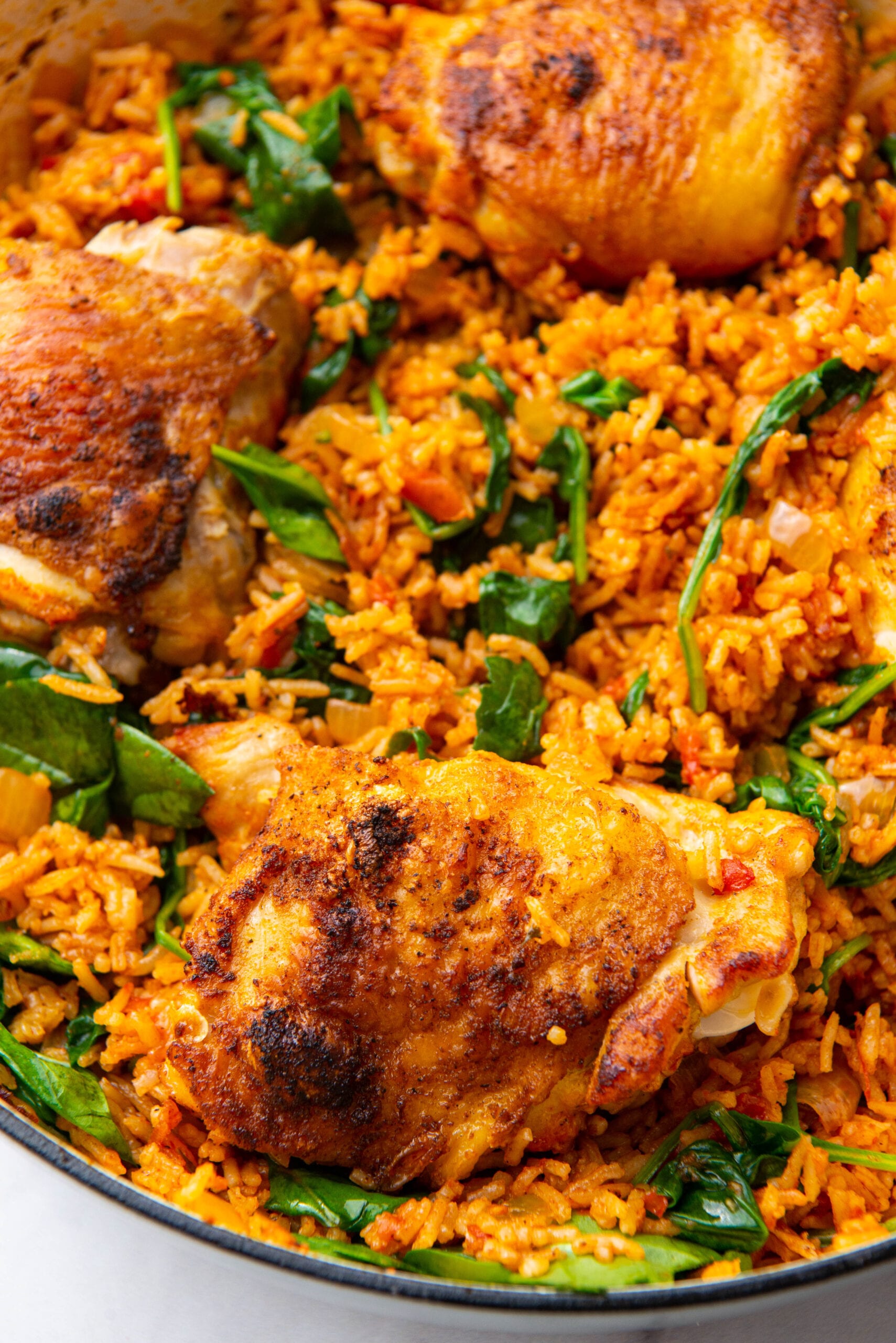 Chicken Paprika and Spanish Rice | Comfort Food Ideas | One Pot Meal